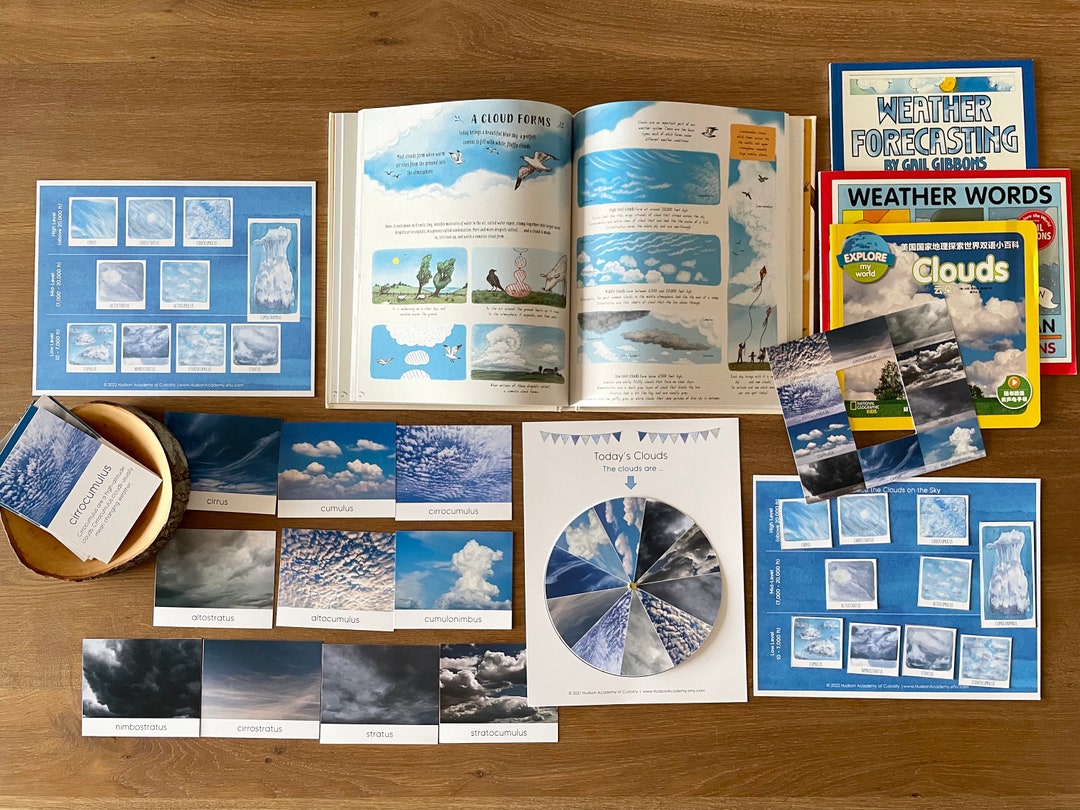 Clouds Identification, Clouds Shape Flashcards, Weather Forecast, Three ...