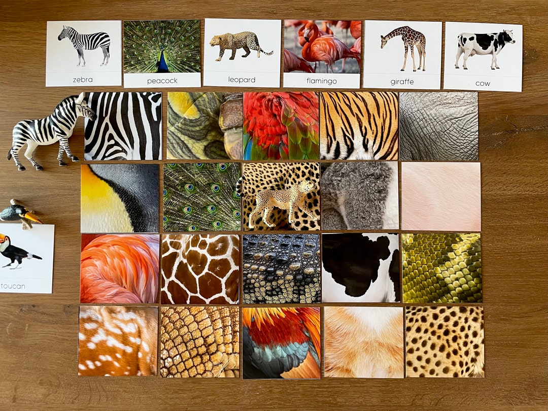 Montessori Animal Pattern Matching Cards: Educational Printable (PDF ...