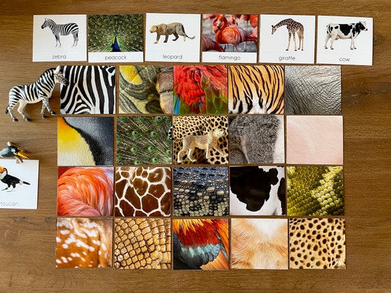 Animal Patterns In Art