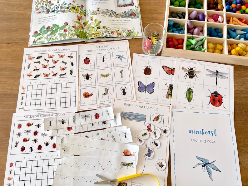 Minibeasts Learning Pack: Nature Study Activity Worksheets (instant ...