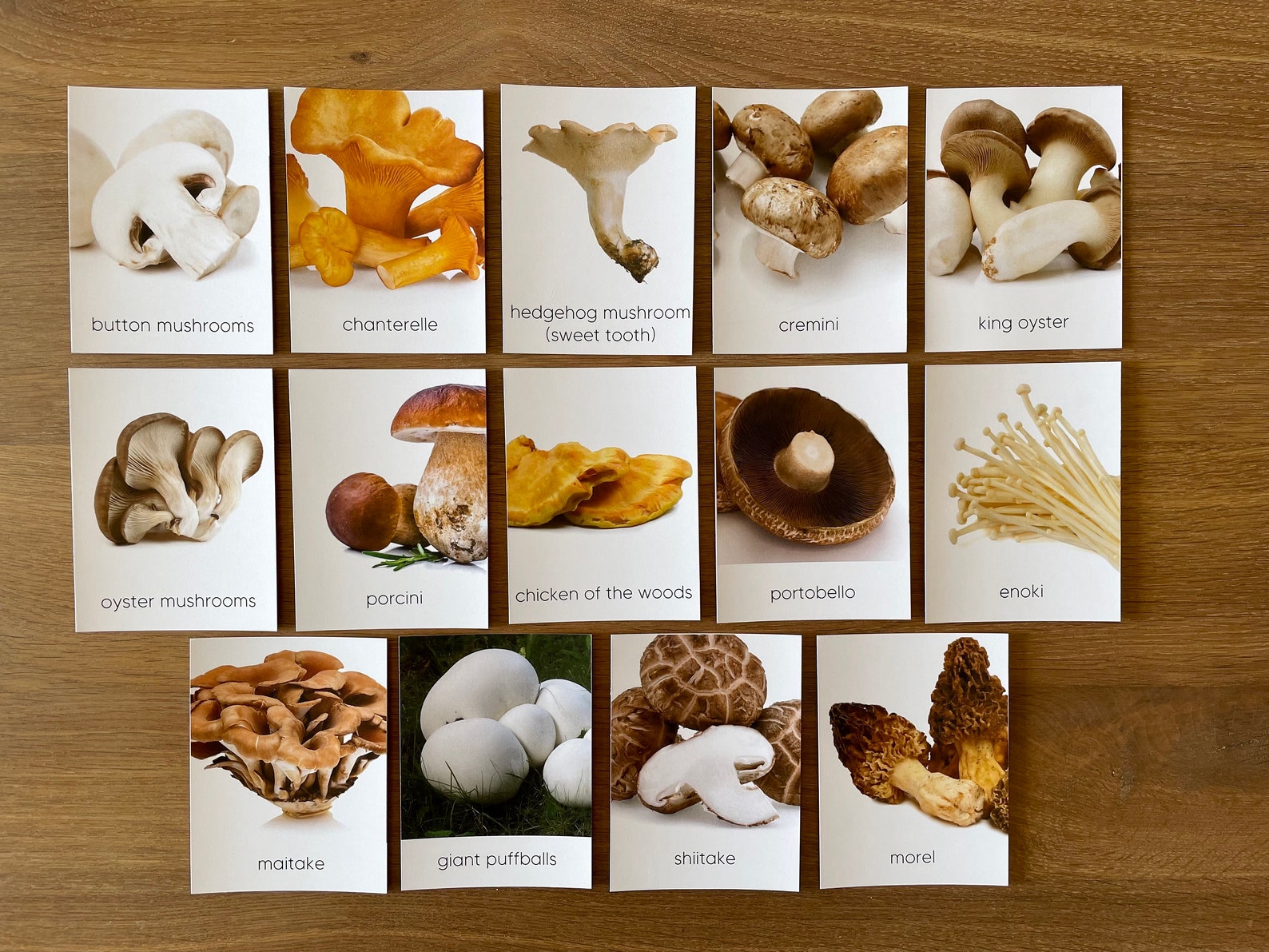 Edible Mushroom Montessori Flashcards Montessori Materials - Etsy