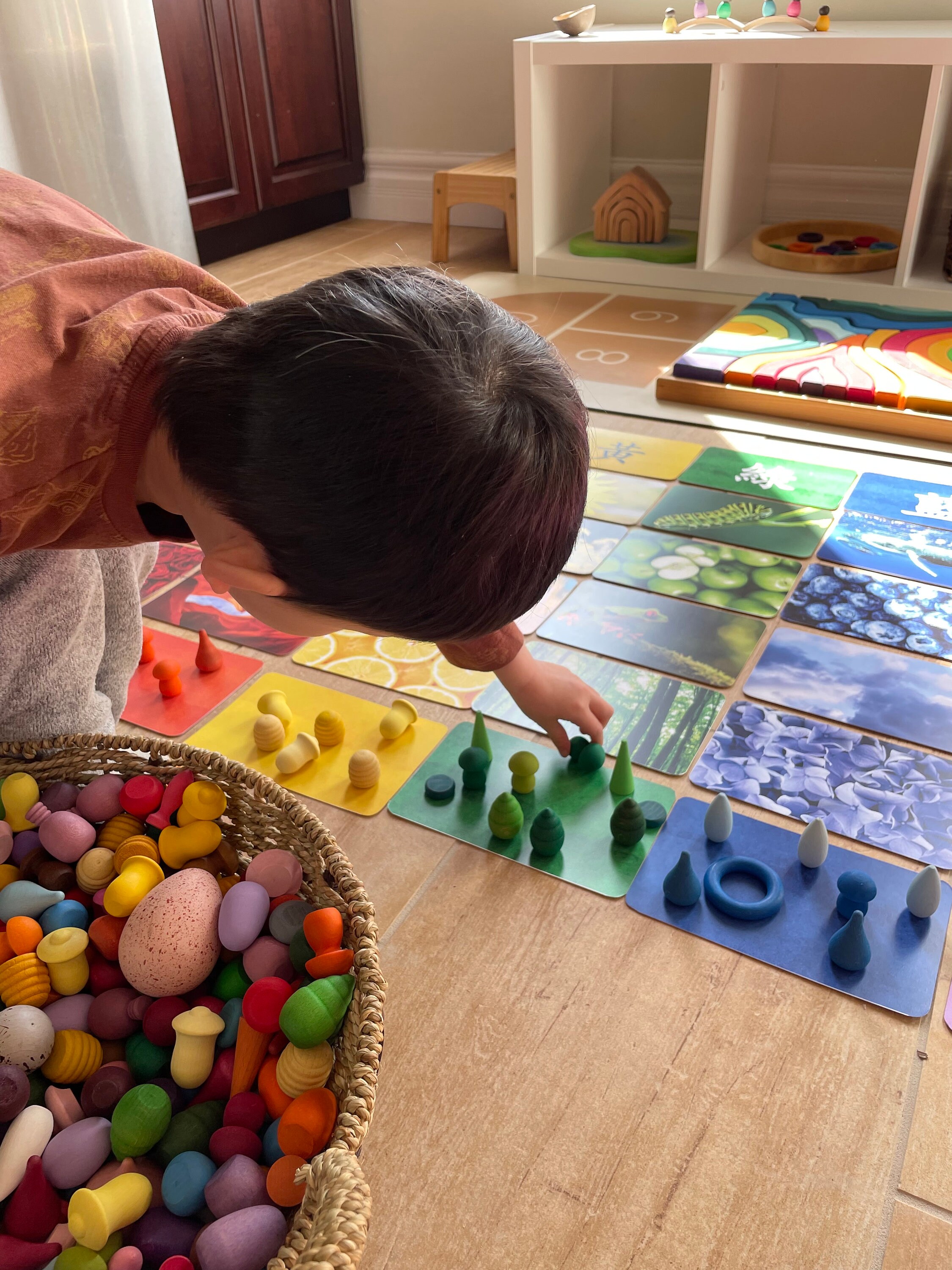Color Matching Cards: Nature Photos, Montessori Learning (printable PDF ...