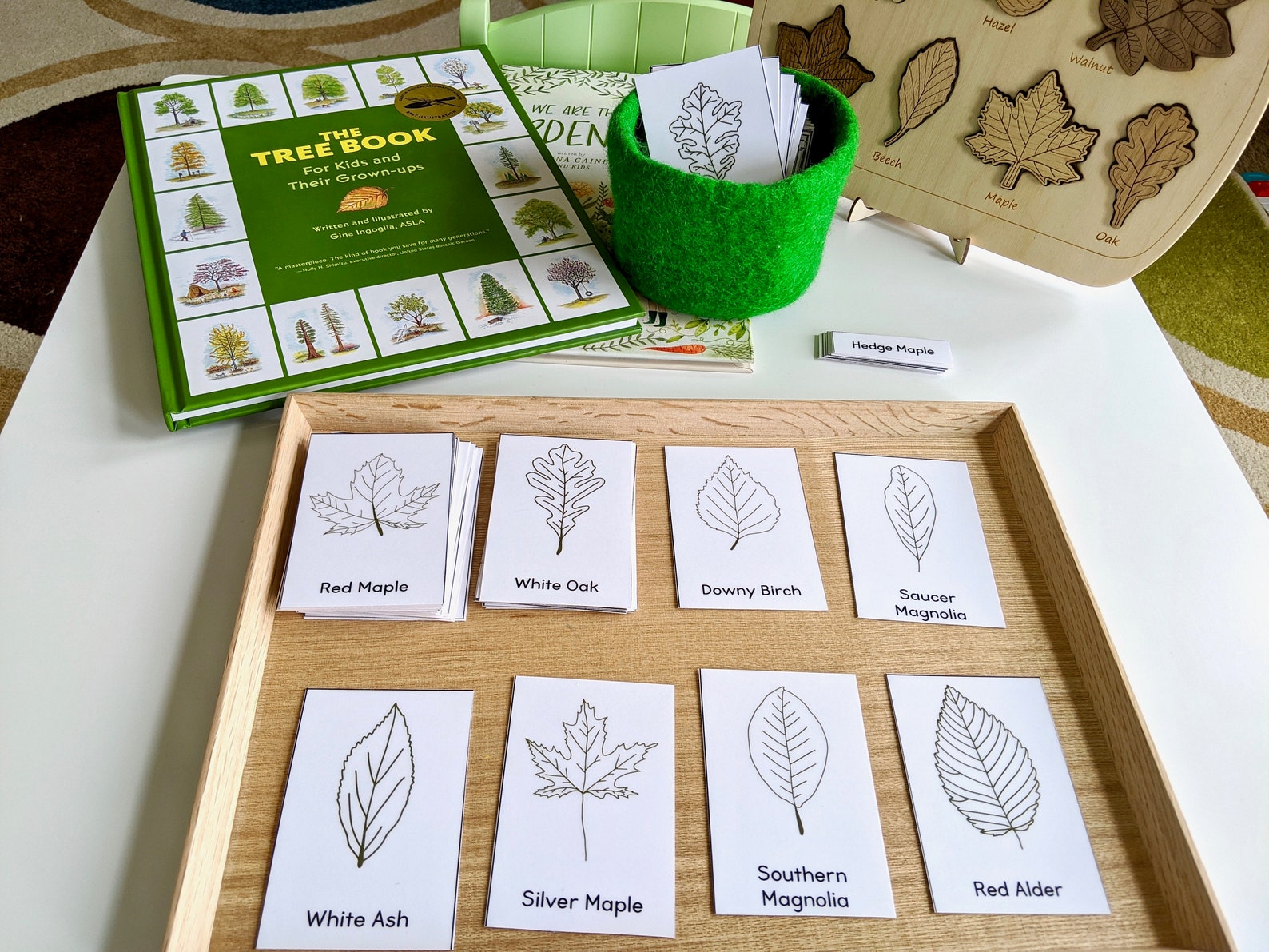 Leaf Foliage Cards Montessori Materials Printable Three Part | Etsy
