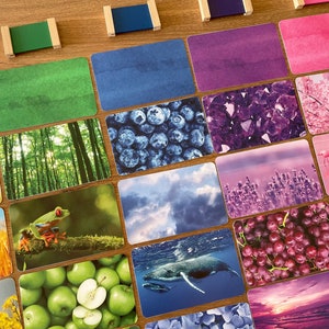 Color Matching Cards: Nature Photos, Montessori Learning (printable PDF ...