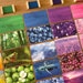 Color Matching Cards: Nature Photos, Montessori Learning (printable PDF ...