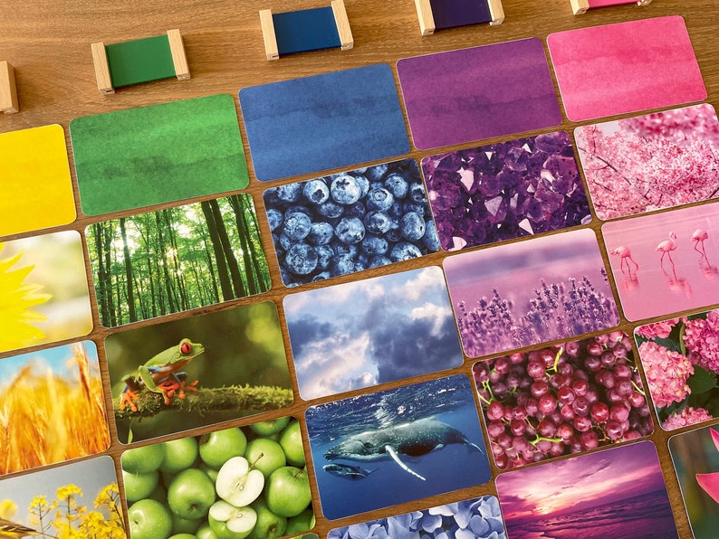 Color Matching Cards: Nature Photos, Montessori Learning (printable PDF ...