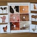 Farm Animals Busy Book, Busy Binder, Letter Tracing Worksheets, Toddler ...