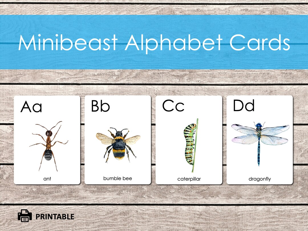Minibeast Alphabet Flashcards: Bugs & Beetles A-Z (printable) - Etsy