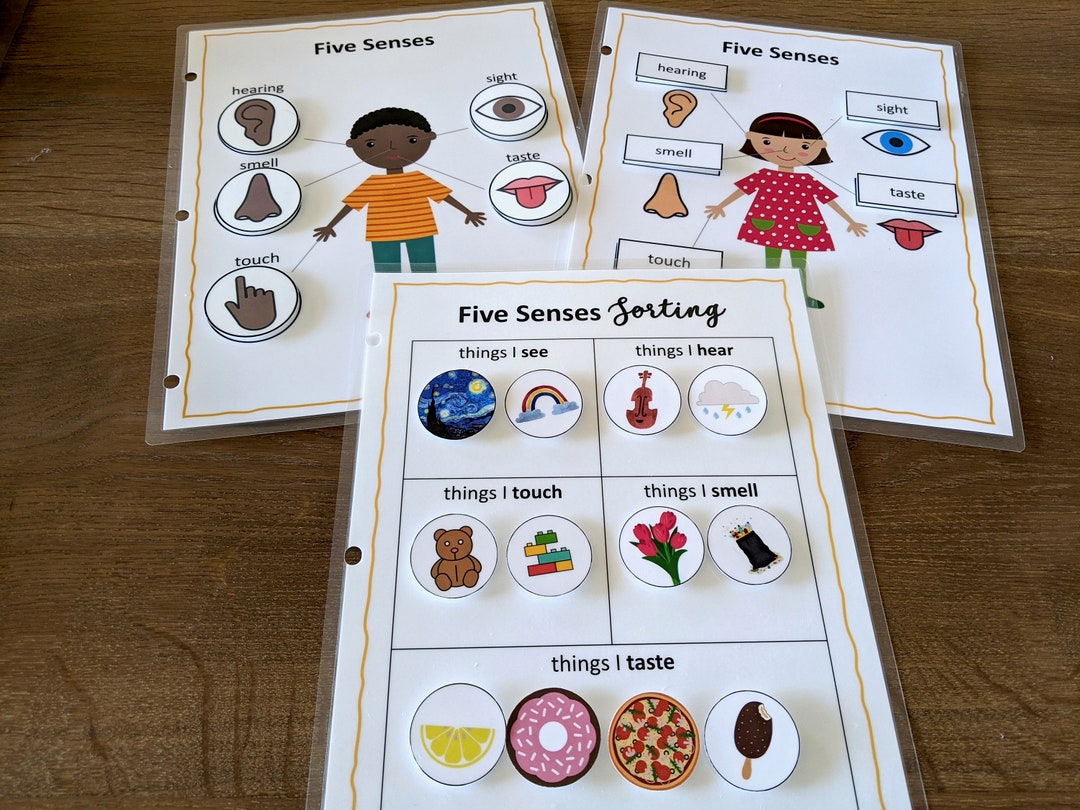 Five Senses Toddler Busy Book: Learning Activity Worksheets (instant ...