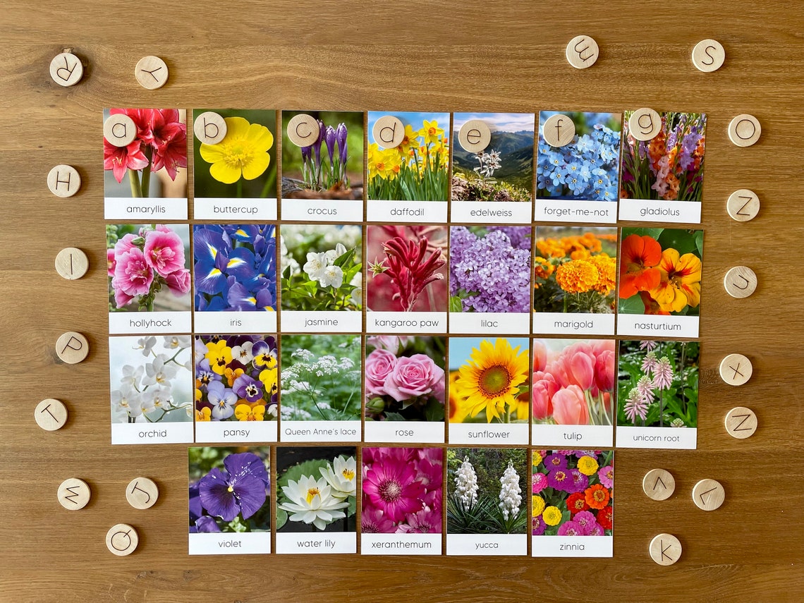 Flowers A-Z Alphabet Flashcards Montessori Materials - Etsy