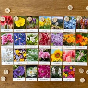 Flowers A-Z Alphabet Flashcards: Montessori Printable (PDF) - Etsy