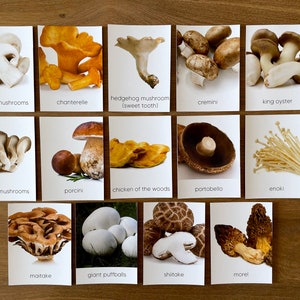 Edible Mushroom Montessori Flashcards, Montessori Materials Printable ...