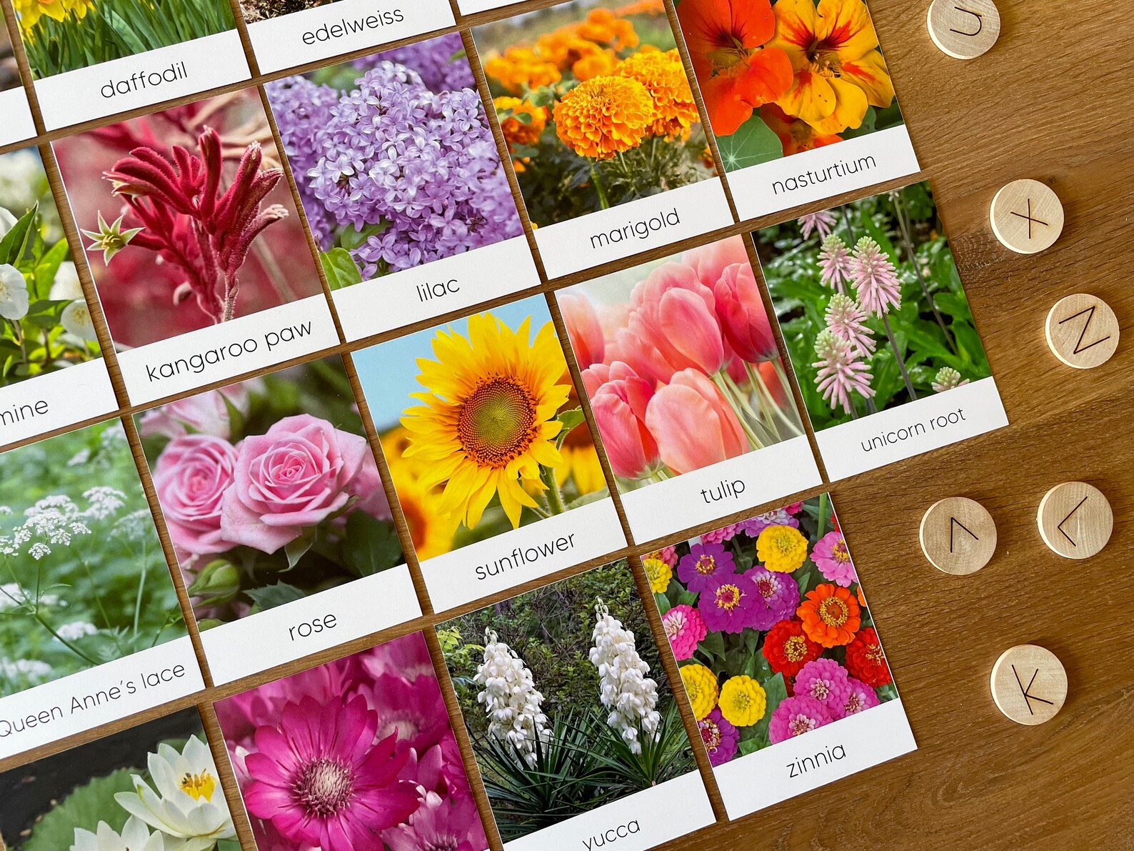 Flowers A-Z Alphabet Flashcards, Montessori Materials Printable, Spring ...