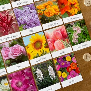 Flowers A-Z Alphabet Flashcards: Montessori Printable (PDF) - Etsy