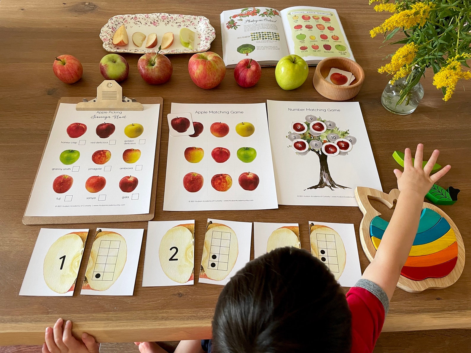 Apple Learning Pack: Montessori Matching & Counting Flashcards (PDF) - Etsy