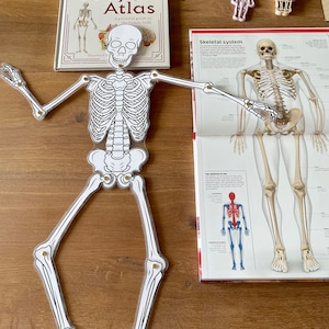 Movable Skeleton Printable: Halloween DIY Craft (PDF Download) - Etsy