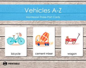 Minibeast A-Z Flashcards Montessori Three-part Cards | Etsy