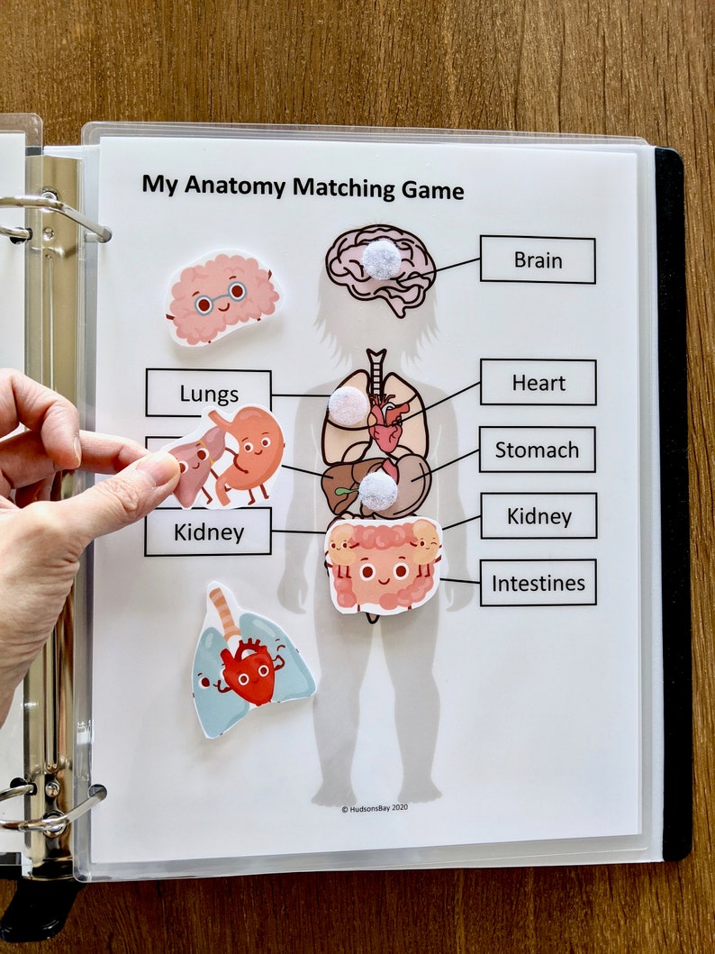 My Body Anatomy Busy Book Printable: Dark Skin Tone (digital Download ...