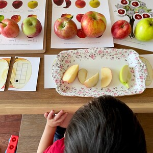 Apple Learning Pack: Montessori Matching & Counting Flashcards (PDF) - Etsy
