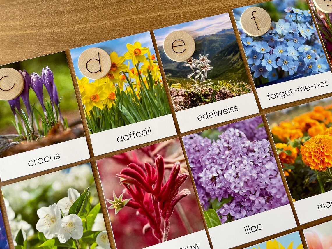 Flowers A-Z Alphabet Flashcards Montessori Materials - Etsy