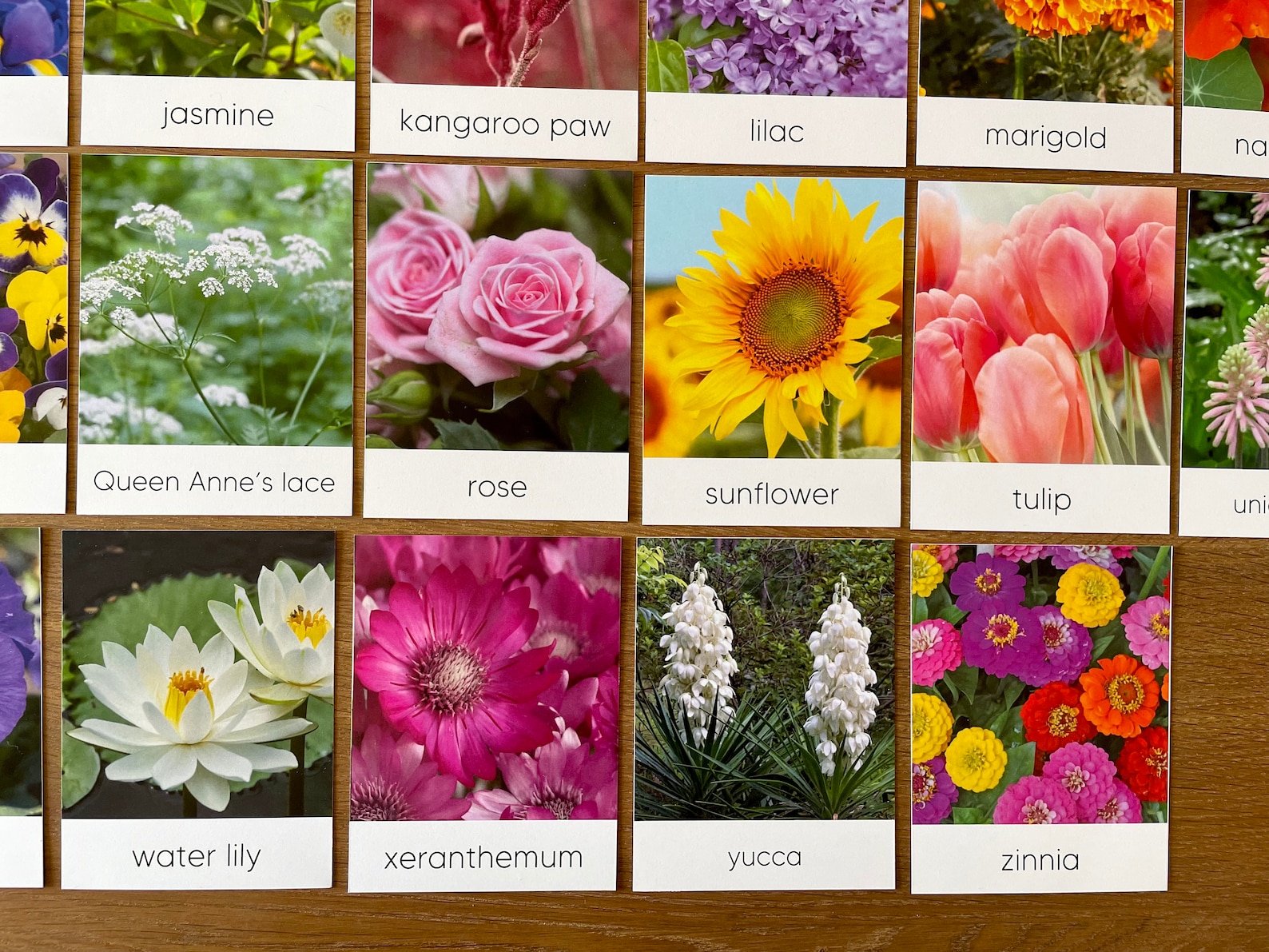 Flowers A-Z Alphabet Flashcards, Montessori Materials Printable, Spring ...