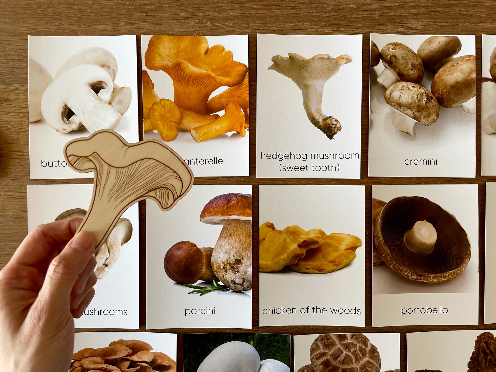 Edible Mushroom Montessori Flashcards Montessori Materials - Etsy