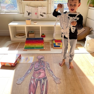 Movable Skeleton Printable: Halloween DIY Craft (PDF Download) - Etsy