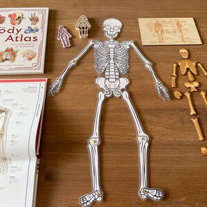 Movable Skeleton Printable: Halloween DIY Craft (PDF Download) - Etsy