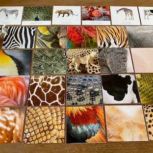 Montessori Animal Pattern Matching Cards: Educational Printable (PDF ...
