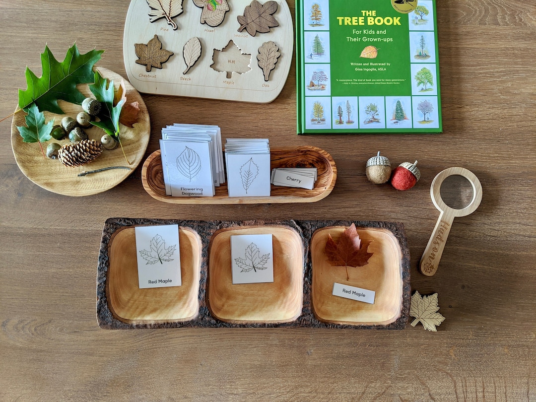 Leaf Foliage Cards, Montessori Materials Printable, Three Part Cards ...