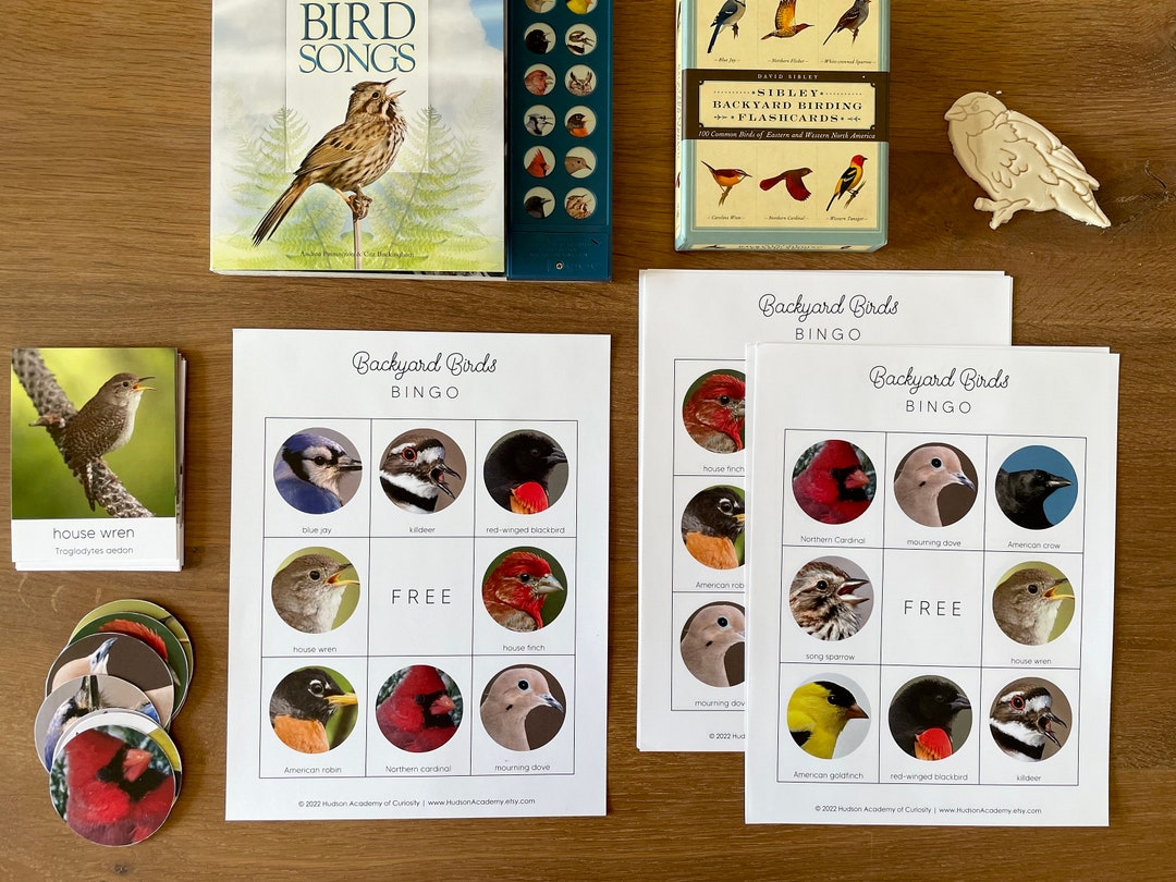 Backyard Birds Bingo, Birds Bingo Game, Nature Bingo, Montessori ...