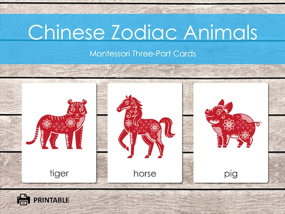 Zodiac Animals Years