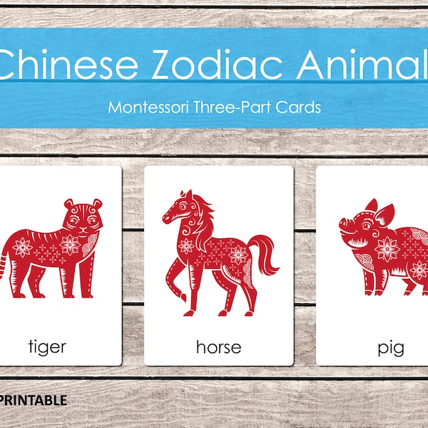 Chinese New Year - Etsy