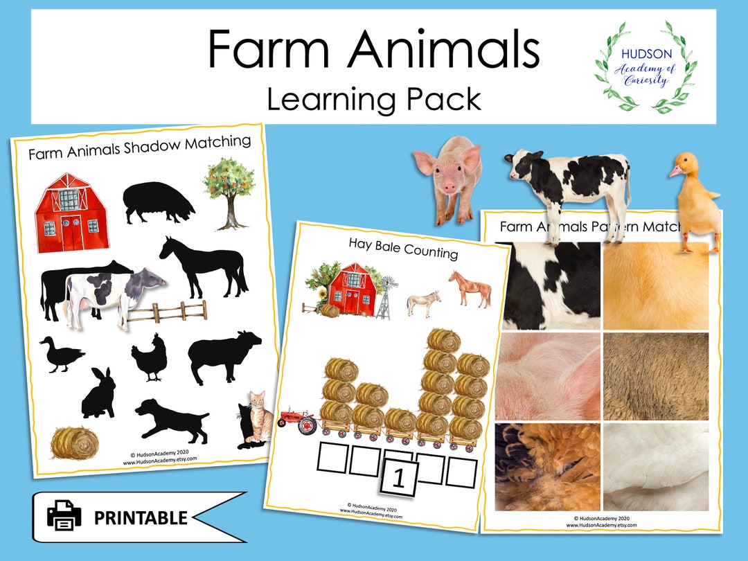 Farm Animals Busy Book, Busy Binder, Letter Tracing Worksheets, Toddler ...