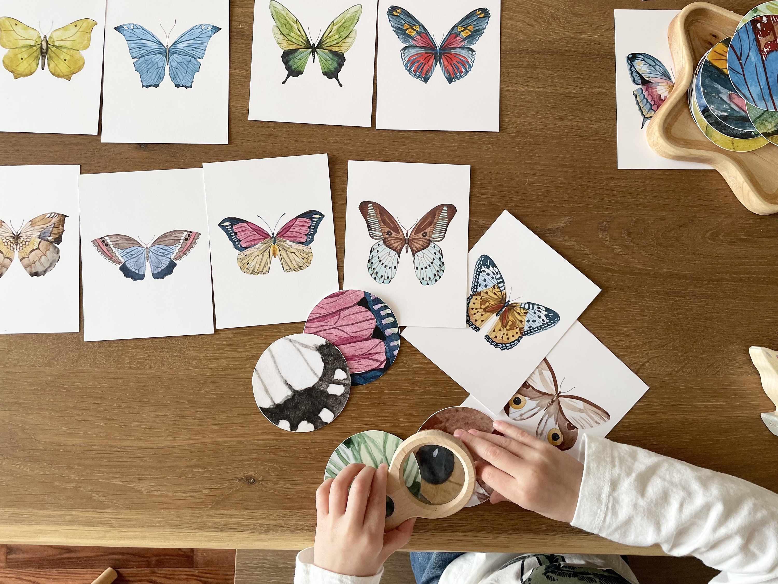 Butterfly Matching Cards: Montessori Nature Study (digital Download ...