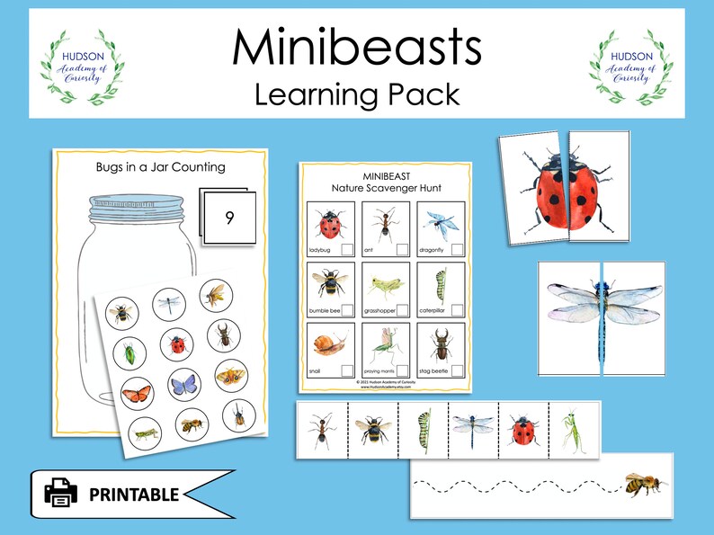 Minibeasts Learning Pack: Nature Study Activity Worksheets (instant ...