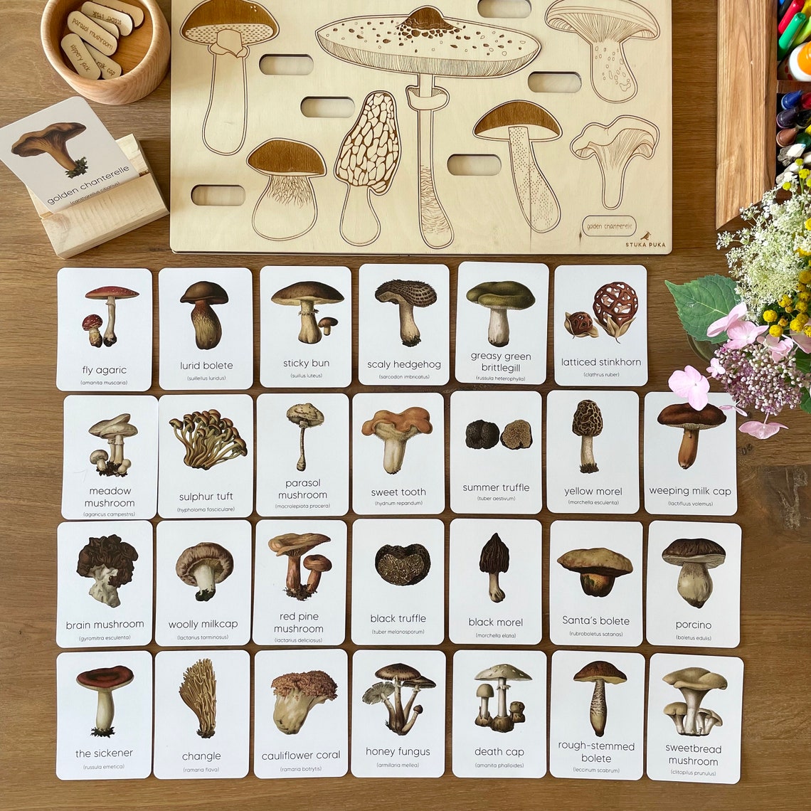 Mushroom Montessori Flashcards Montessori Materials - Etsy Canada
