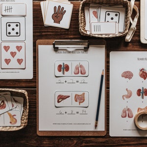 Human Body Math Unit: Anatomy for Kids, Bandaid Math (digital Download ...