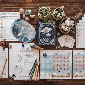 Ocean Math Unit, Oceanography, Counting and Skip Counting, Preschool ...