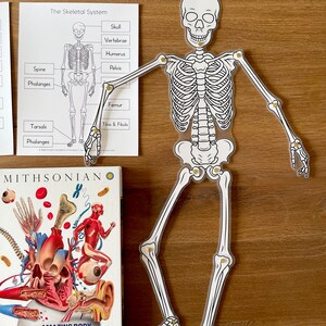 Movable Skeleton Printable: Halloween DIY Craft (PDF Download) - Etsy