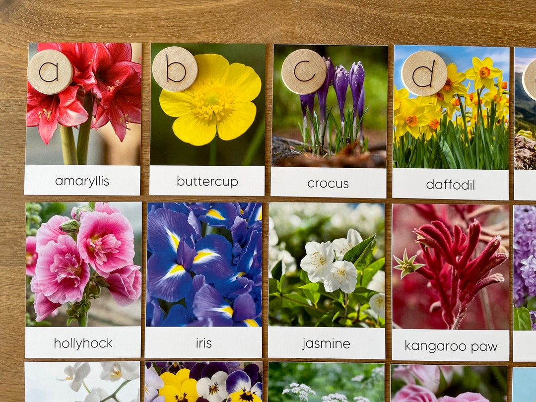 Flowers A-Z Alphabet Flashcards: Montessori Printable (PDF) - Etsy