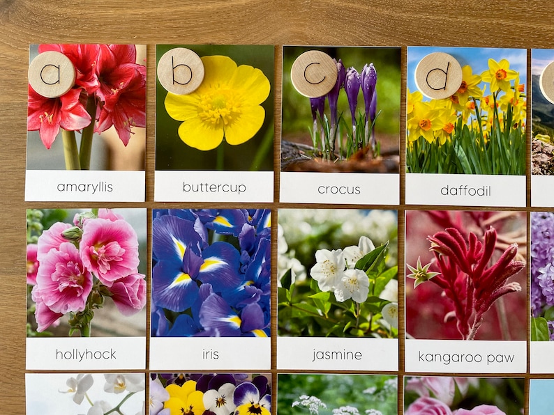 Flowers A-Z Alphabet Flashcards: Montessori Printable (PDF) - Etsy