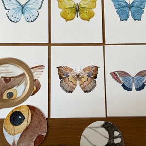 Butterfly Matching Cards: Montessori Nature Study (digital Download) - Etsy