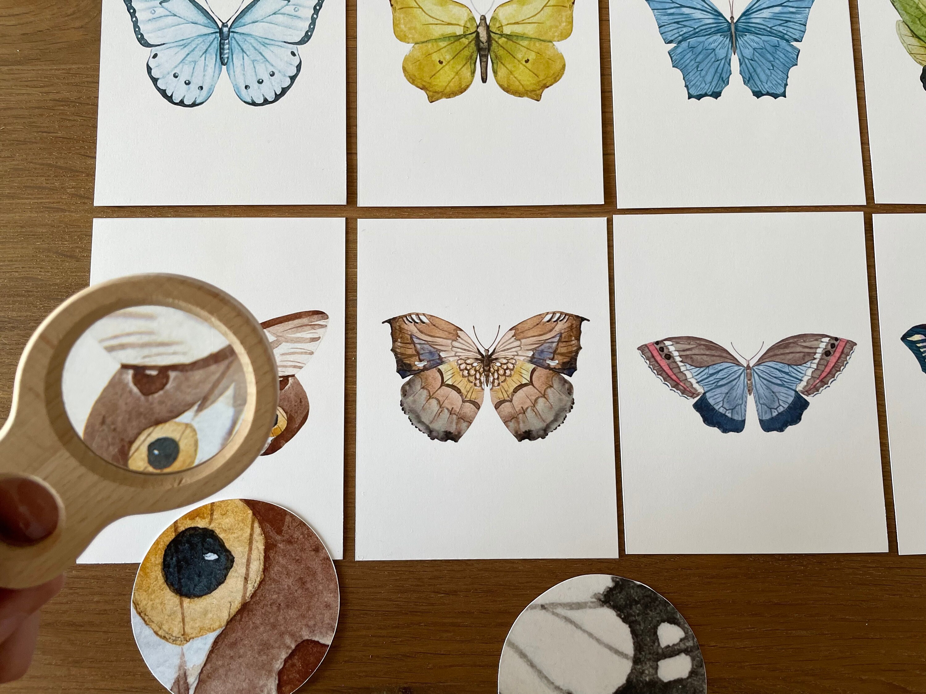 Butterfly Matching Cards Montessori Materials Printable | Etsy Australia