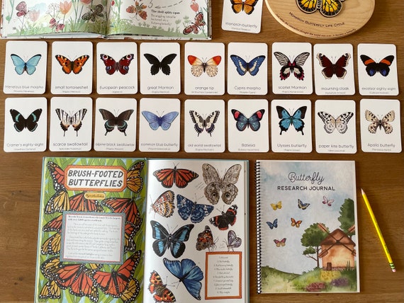 Butterfly Research Journal Butterly Identification | Etsy