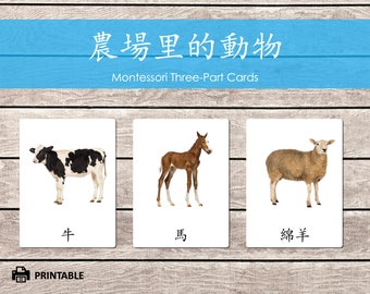 Measure Words 1 Chinese Writing Activity Worksheets 20 Pages - Etsy