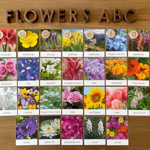 Flowers A-Z Alphabet Flashcards: Montessori Printable (PDF) - Etsy