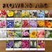 Flowers A-Z Alphabet Flashcards, Montessori Materials Printable, Spring ...