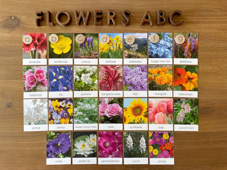 Flowers A-Z Alphabet Flashcards Montessori Materials - Etsy