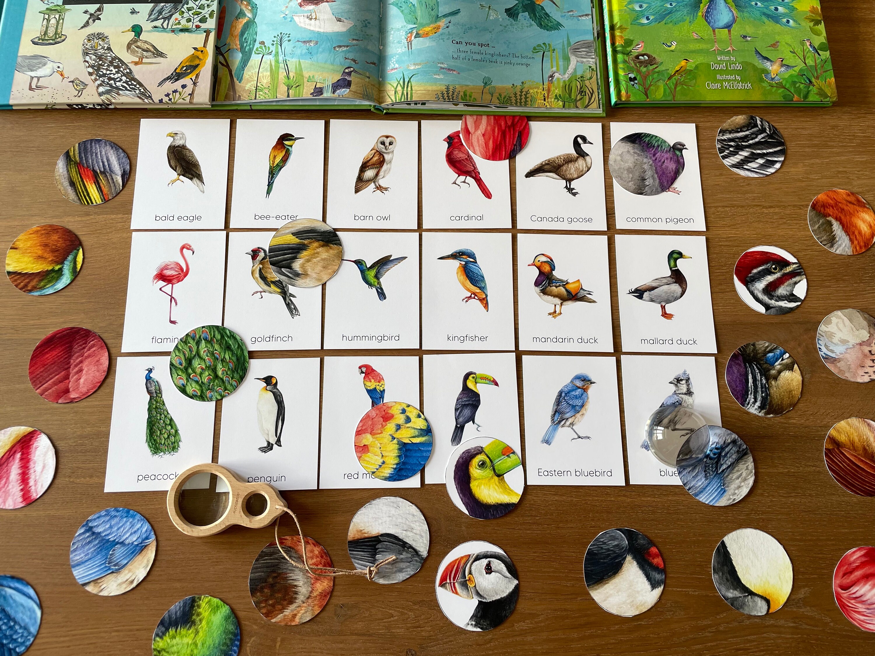 Bird Flashcards: Montessori Feature Matching, Preschool Learning (PDF ...